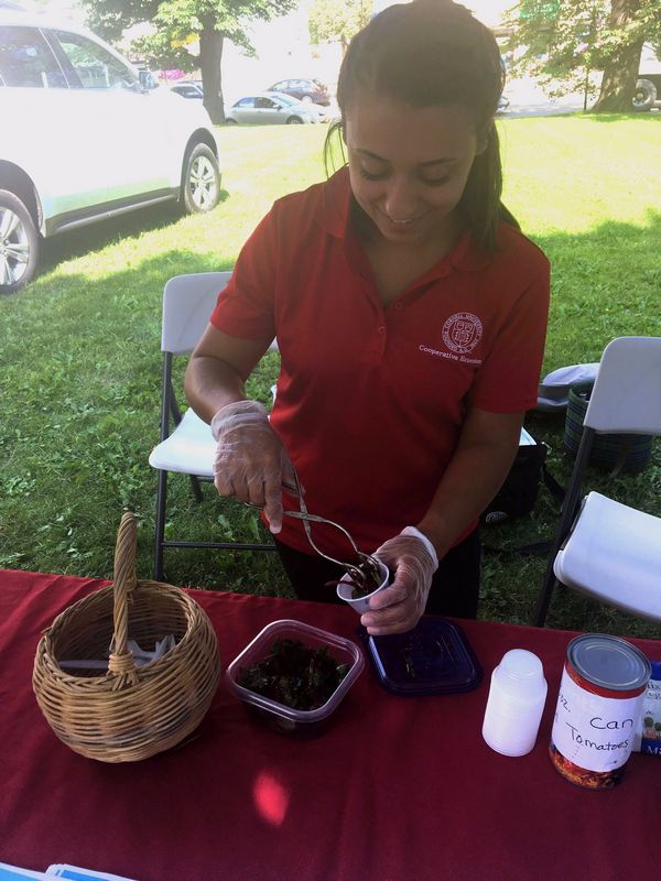 Outreach for the Farmers’ Market Nutrition Program (FMNP) – Seguin ...